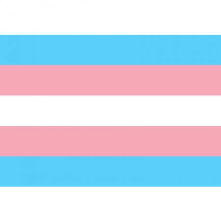 Drapeau Transgenre sur Hampe à agiter - 5 tailles disponibles ...