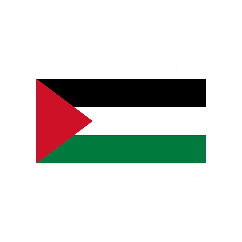 Acheter Drapeau Palestine - 7 tailles disponibles | Signalétique Express